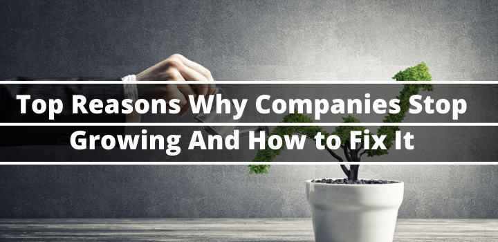 Top Reasons Why Companies Stop Growing And How To Fix It | Incrementors