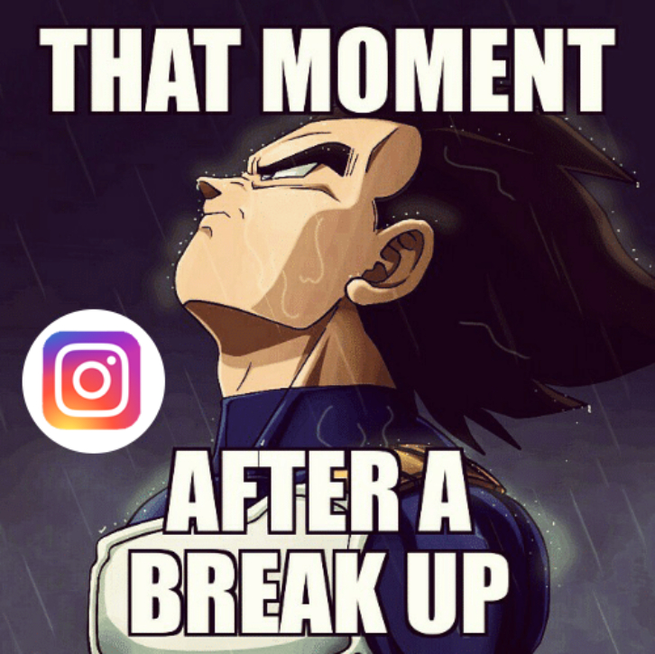 What Is "Shadowbanned" On Instagram And How To Avoid It | Incrementors